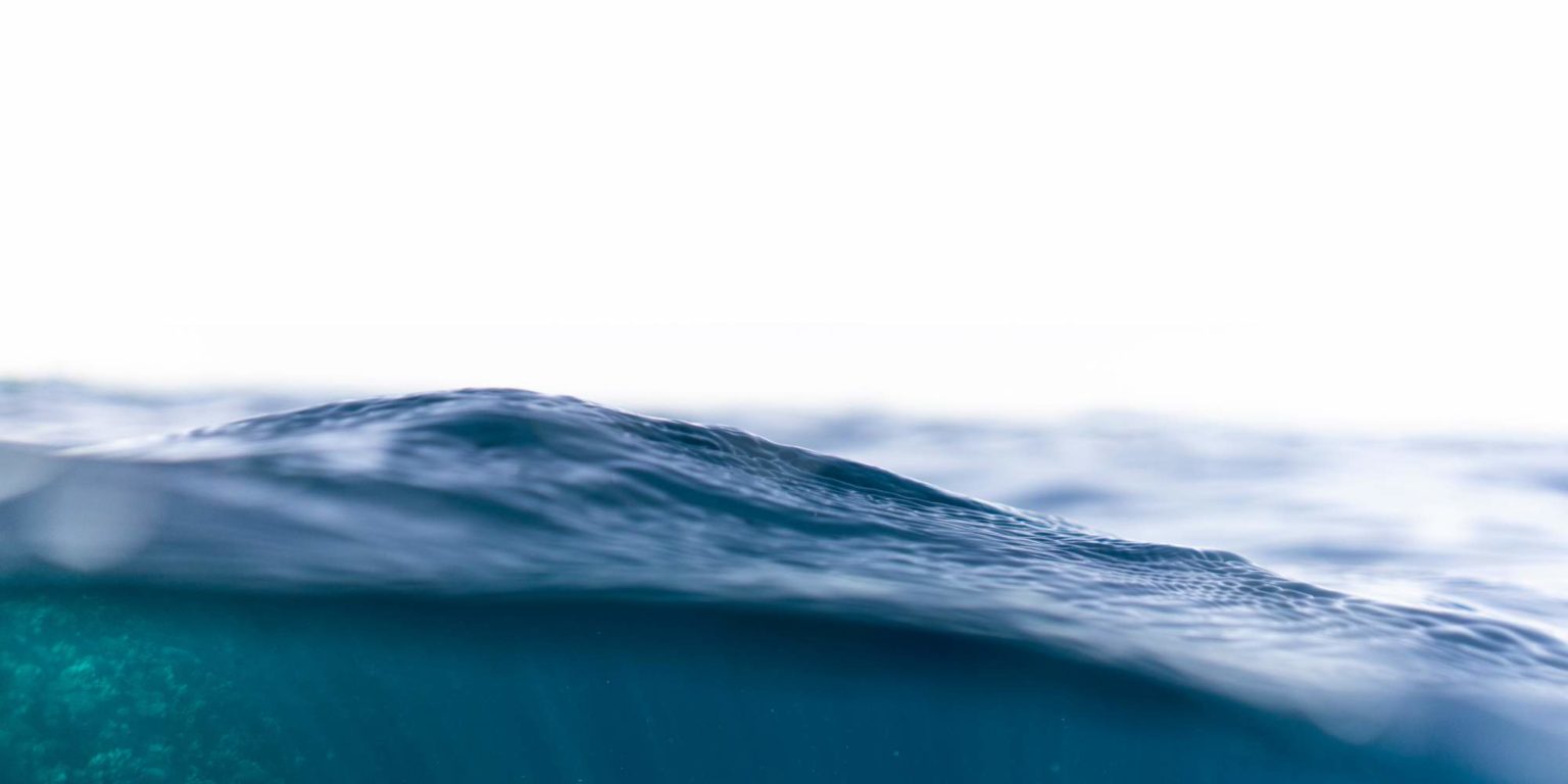 Fins | Ocean Hunter Worldwide