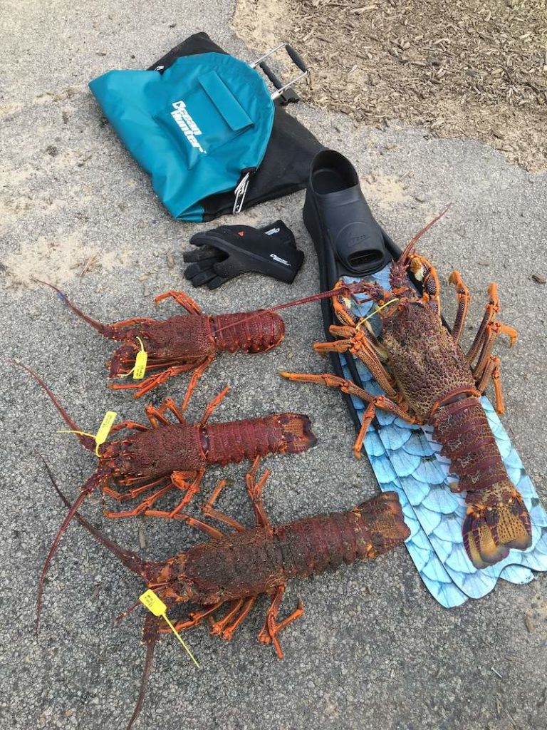 About Ocean Hunter Worldwide